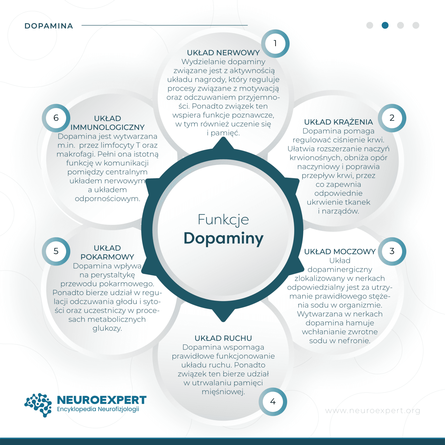 Dopamina - NeuroExpert - Encyklopedia Neurofizjologii
