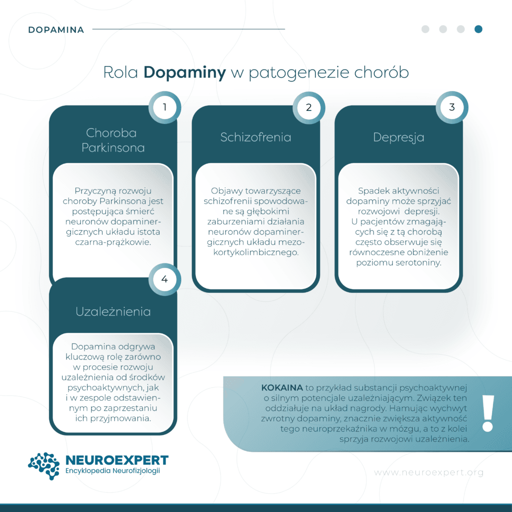 Dopamina - NeuroExpert - Encyklopedia Neurofizjologii
