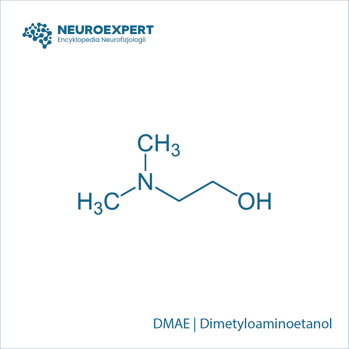 DMAE | Dimetyloaminoetanol - NeuroExpert - Encyklopedia Neurofizjologii