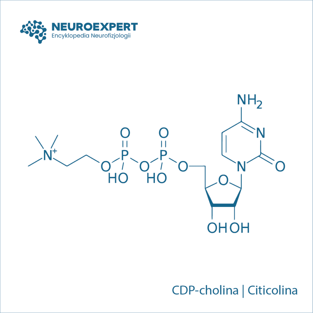 CDP-cholina | Cytykolina - NeuroExpert - Encyklopedia Neurofizjologii