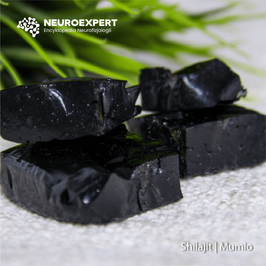 Shilajit | Mumio - NeuroExpert - Encyklopedia Neurofizjologii