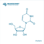 Urydyna - NeuroExpert - Encyklopedia Neurofizjologii