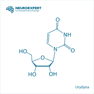 Urydyna - NeuroExpert - Encyklopedia Neurofizjologii