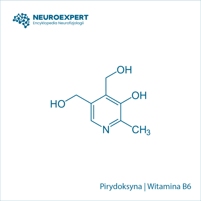 Pirydoksyna | Witamina B6 - NeuroExpert - Encyklopedia Neurofizjologii